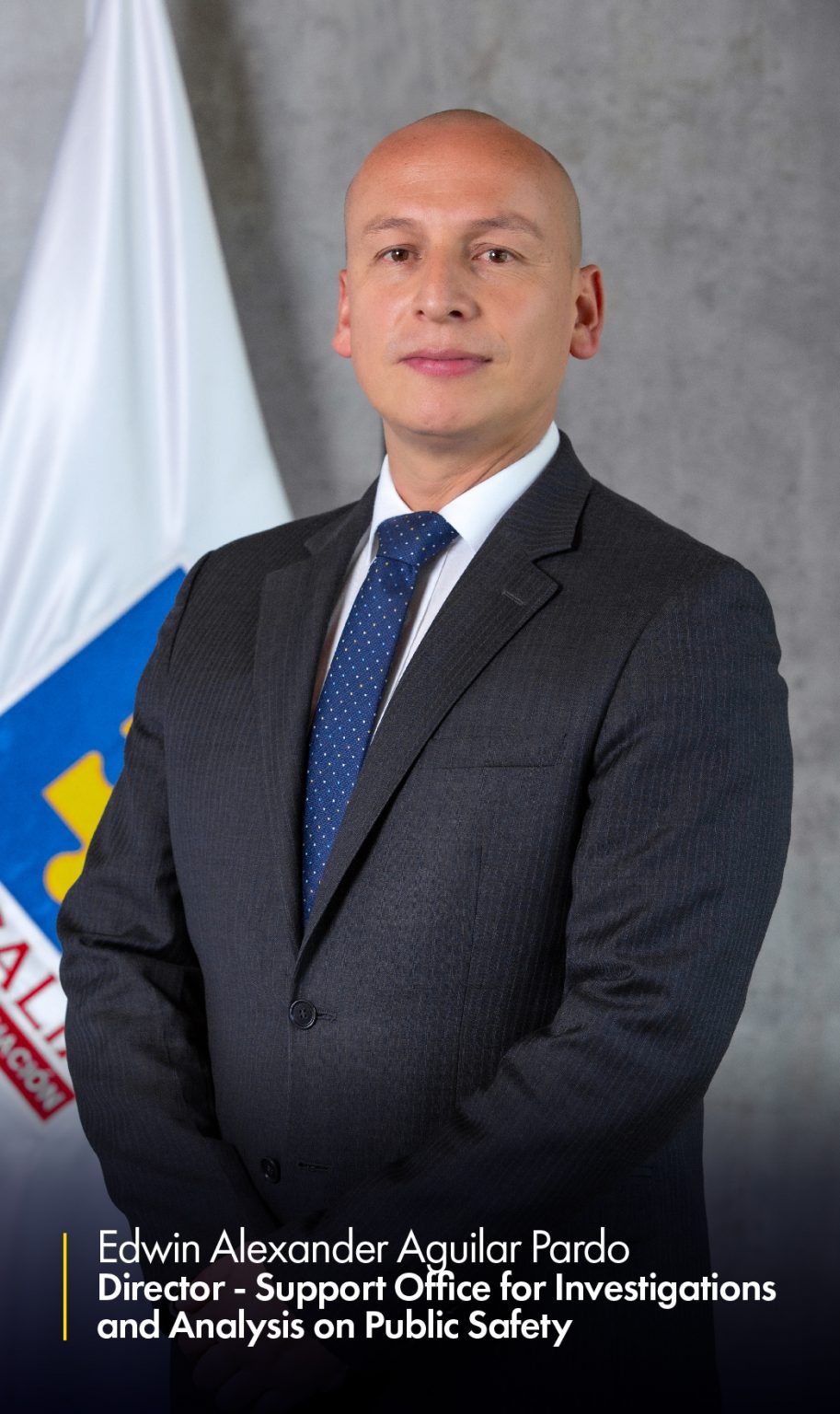 Director- Support Office for Investigations and Analysis on Public ...